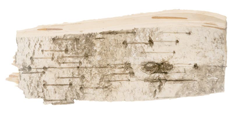 163 Birch Bark Scroll Stock Photos - Free & Royalty-Free Stock Photos ...