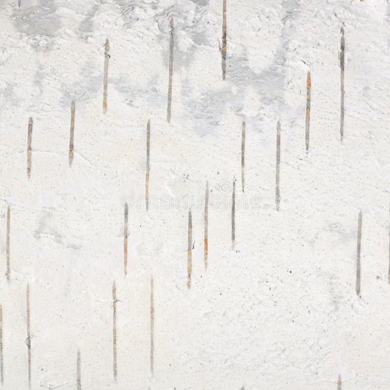 Birch Bark Texture Natural Background Paper Close Stock Photo - Image ...