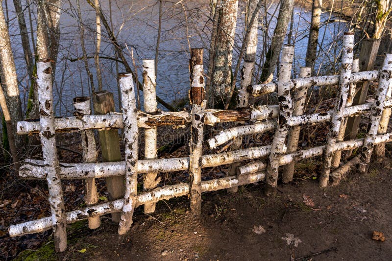 Birch Branch Fence. a Slope Behind the Fence Stock Photo - Image of ...