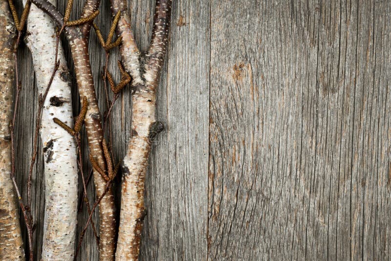 Birch branches background stock photo. Image of distressed - 28802746