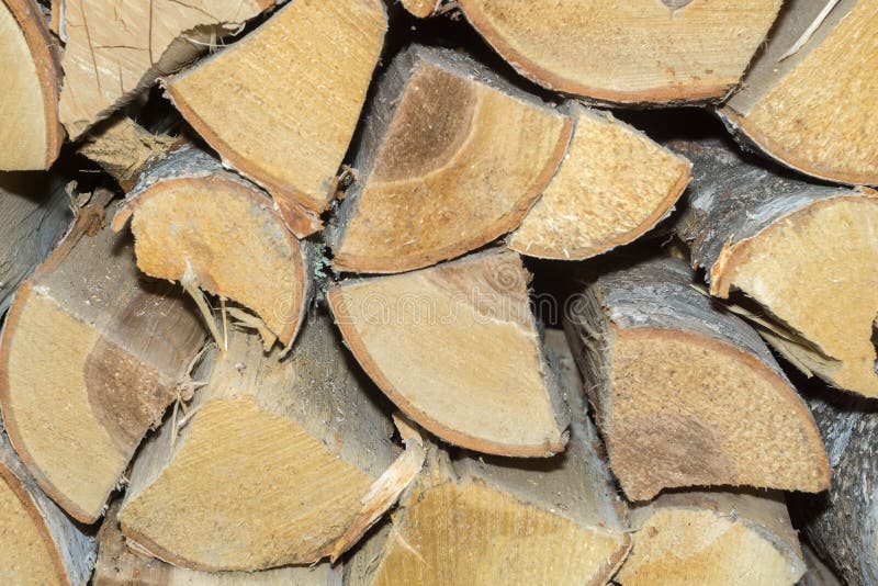 Birch Fire Wood stock image. Image of technology, forest - 64402459