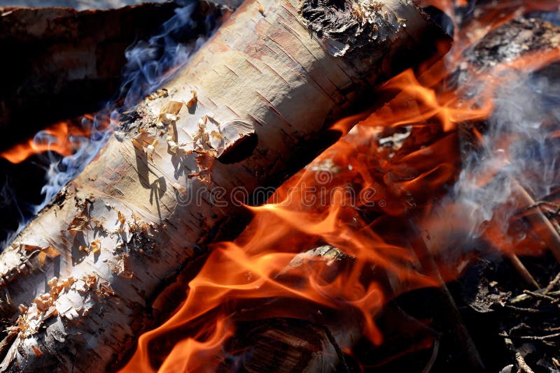 Birch firewood burning stock image. Image of energy, burning - 39128807