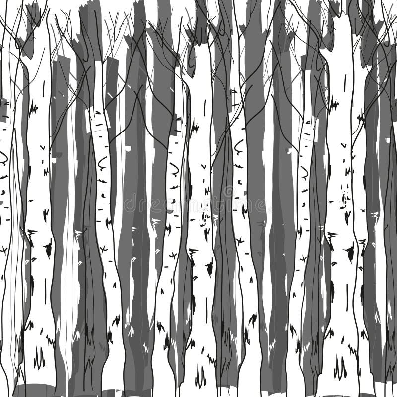Birch Tree Forest Vector