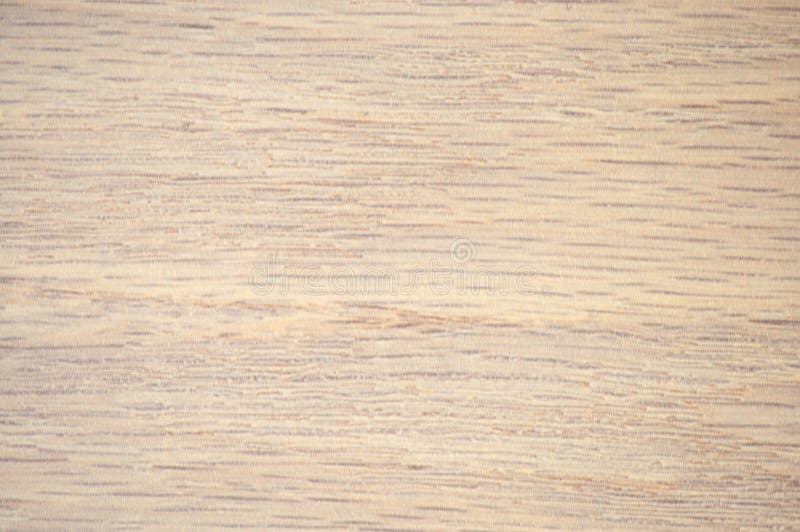 The Texture of Birch Plywood is Painted with a Dark Brown Stain Stock ...