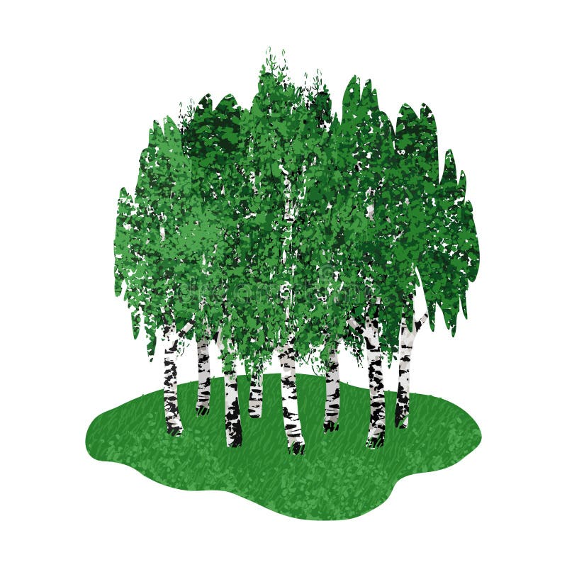 Birch grove with birds stock vector. Illustration of decorative - 78946991