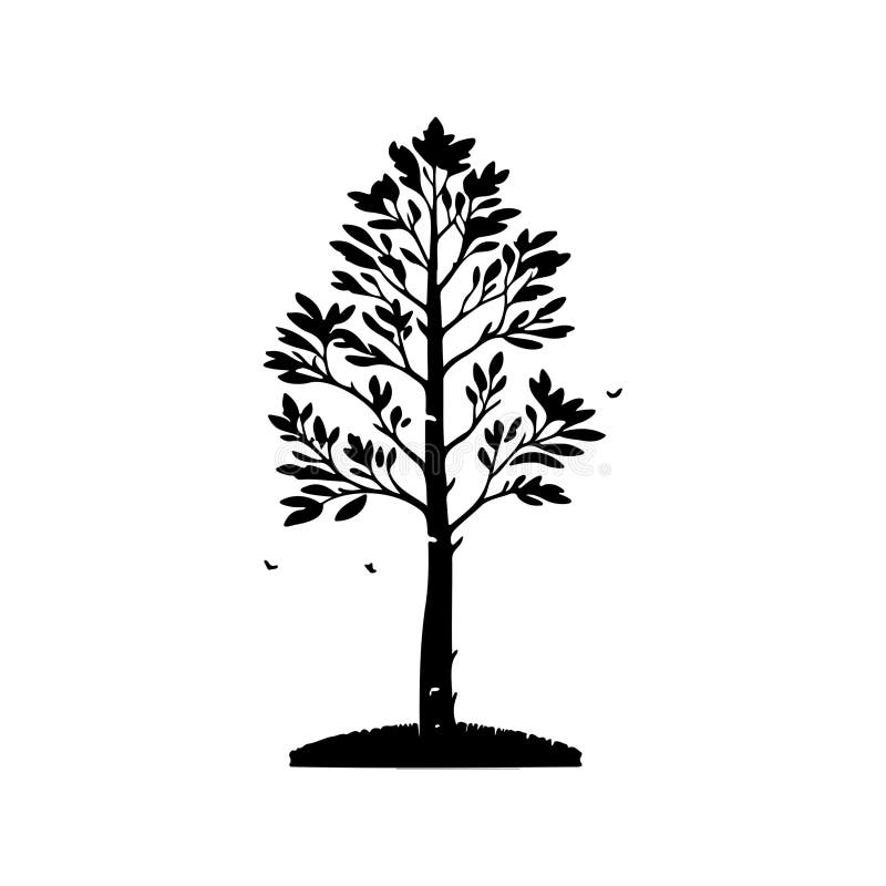 Birch Icon Hand Draw Black Colour Tree Logo Symbol Perfect Stock Vector ...
