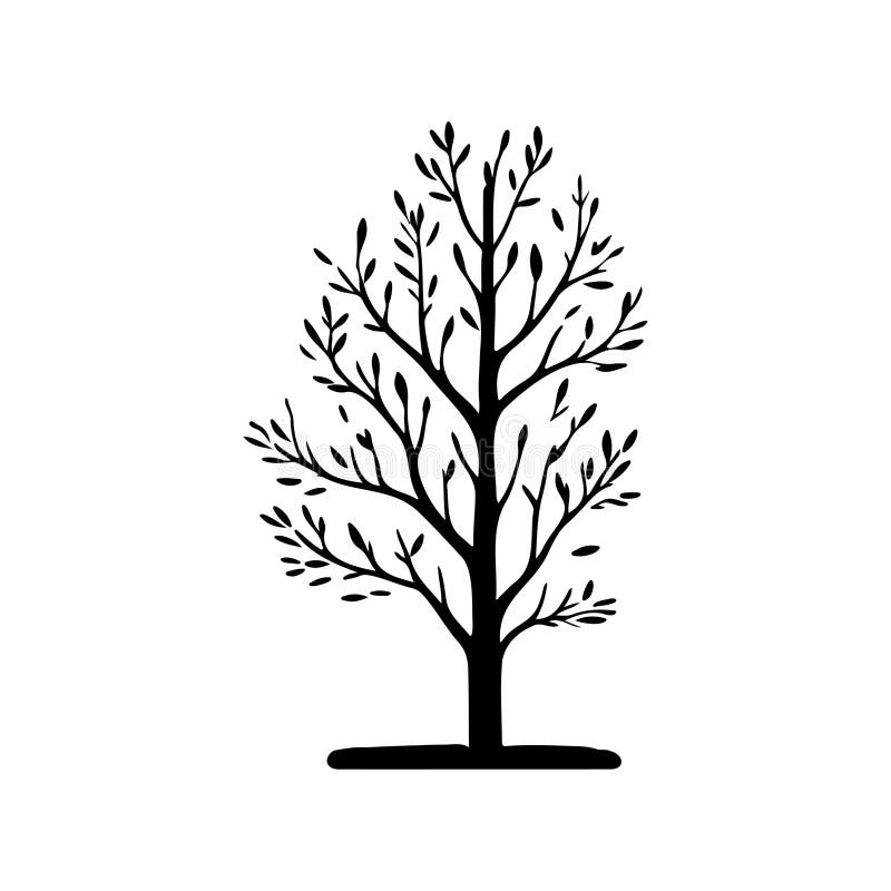 Birch Icon Hand Draw Black Colour Tree Logo Symbol Perfect Stock Vector ...