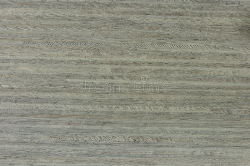 Gray Birch-Patterned Linoleum Flooring Texture for Interior Design and ...