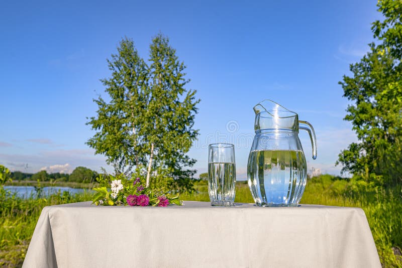 Birch Juice. Decanter of Fresh Birch Sap and Spring Vitamin Drink on ...