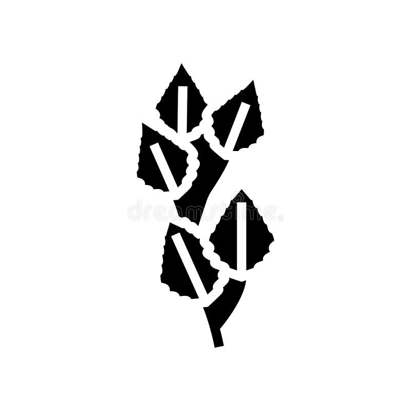 Birch Leaf Glyph Icon Vector Illustration Stock Vector - Illustration ...