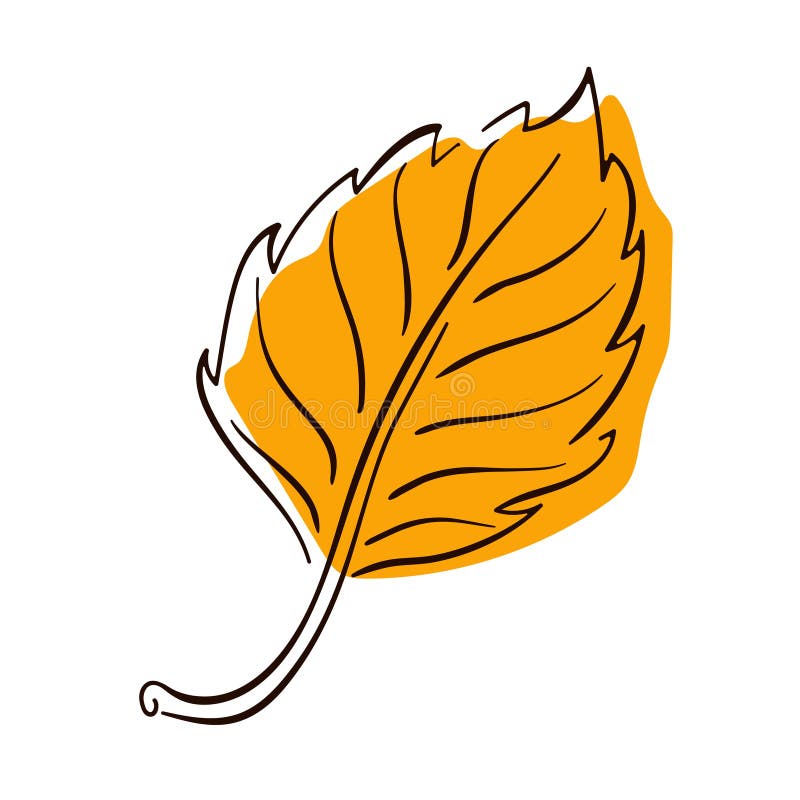 Birch Leaf Icon in Line Art, Flat Style. Natural Design Element for ...