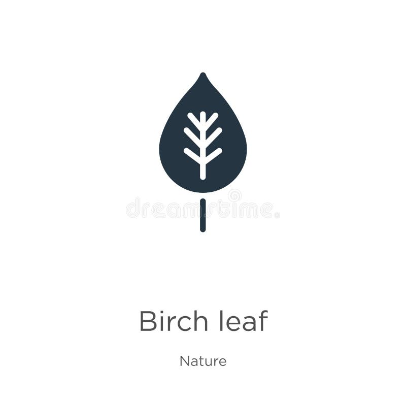 Birch Leaf Icon Vector. Trendy Flat Birch Leaf Icon from Nature ...