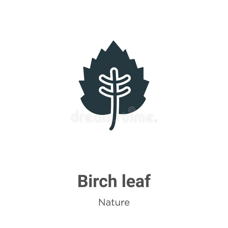 Birch Vector Icon on White Background. Flat Vector Birch Icon Symbol ...
