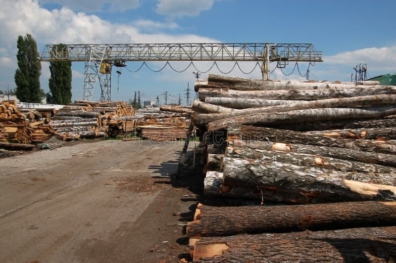 Birch log stock image. Image of industry, stre, plate - 12806857