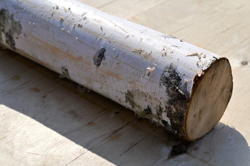 Birch Log Close-up Outdoors in Sunny Weather. Harvesting Firewood for ...