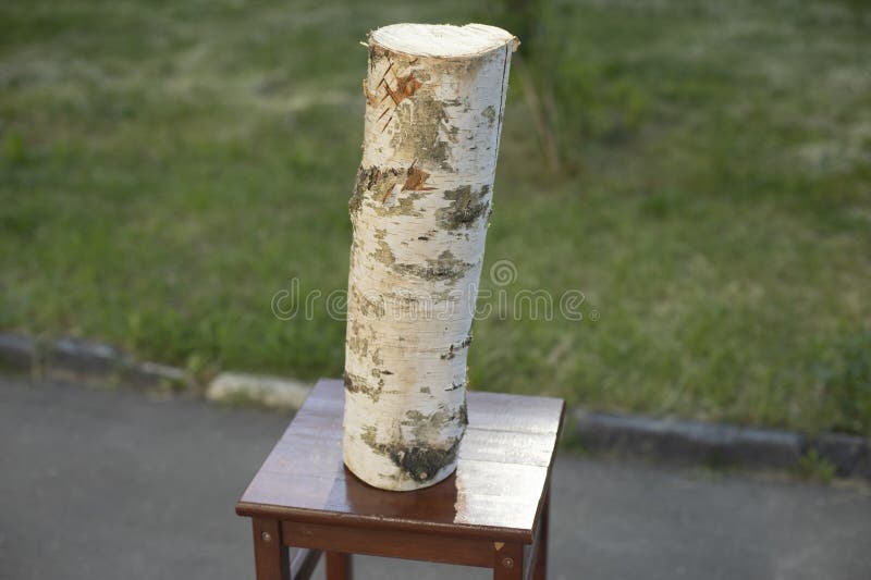Birch log. Log for felling stock image. Image of resource - 300657669