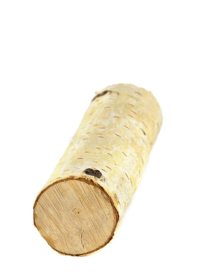 Birch Log Isolated on White Stock Image - Image of material, woody ...