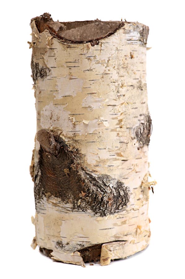 Birch Log Isolated on a White Background. Wooden Log Firewood Stock ... Birch Log Isolated on a White Background. Wooden Log Firewood Stock ...