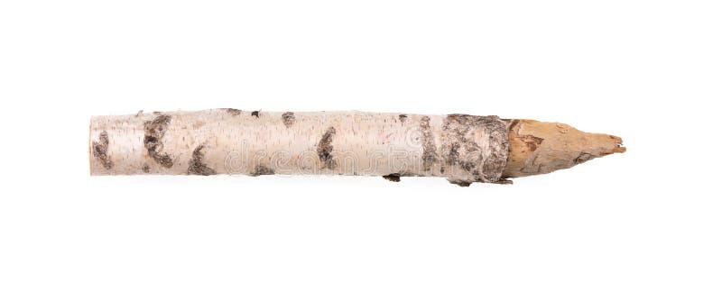 Birch log on a white stock photo. Image of birch, wooden - 278808036
