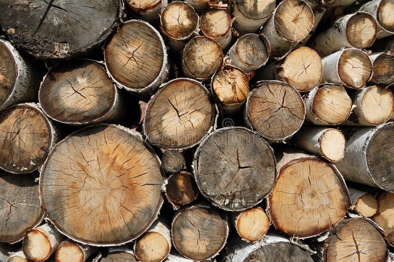 Birch logs stock photo. Image of rind, brown, material - 10787370