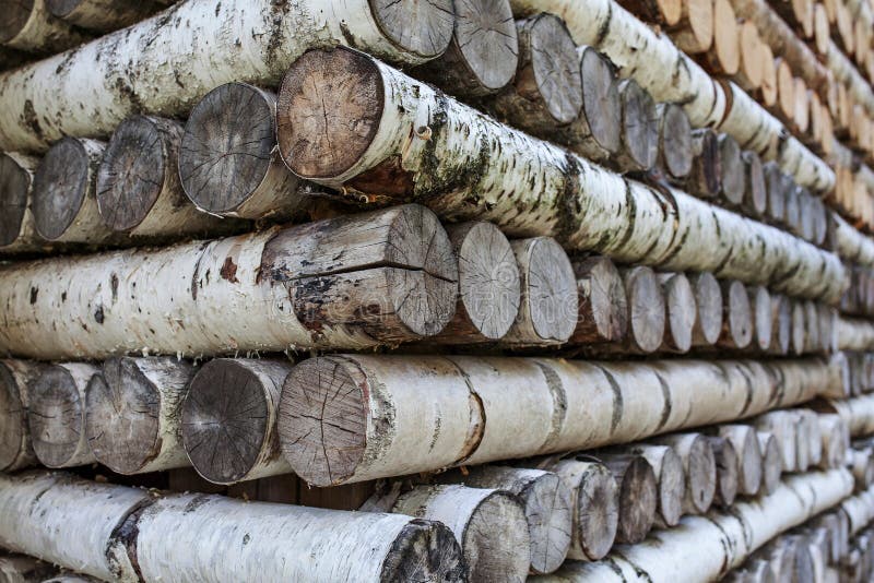 Birch logs stock image. Image of nature, traditional - 178238999