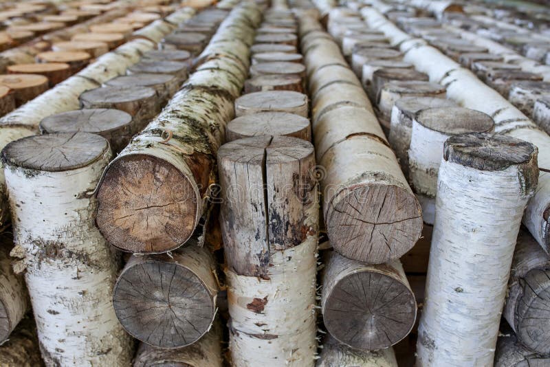 Birch logs stock photo. Image of building, pattern, texture - 178239012