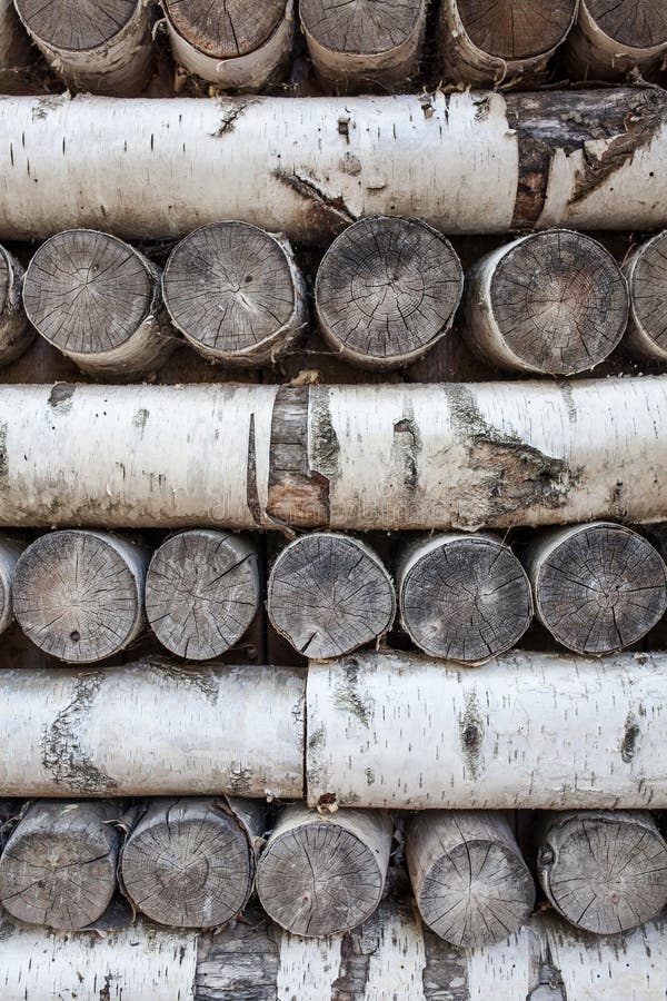 Birch logs stock image. Image of structure, rough, tree - 178239043