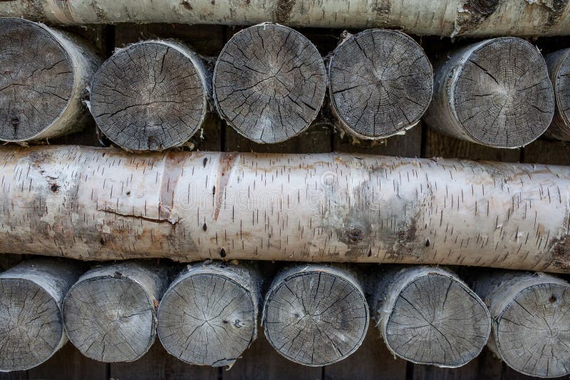 Birch logs stock photo. Image of design, construction - 178239046