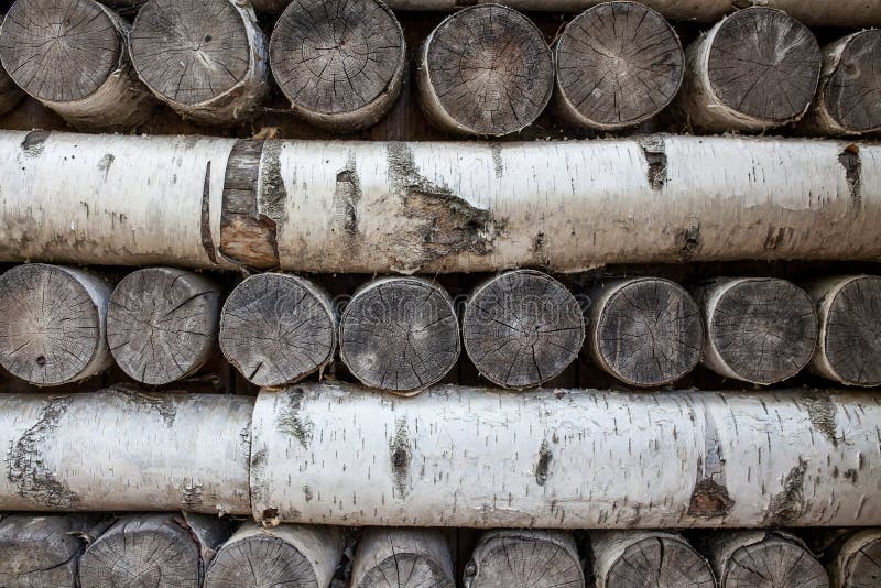 Birch logs stock photo. Image of pattern, lumber, trunk - 178239048