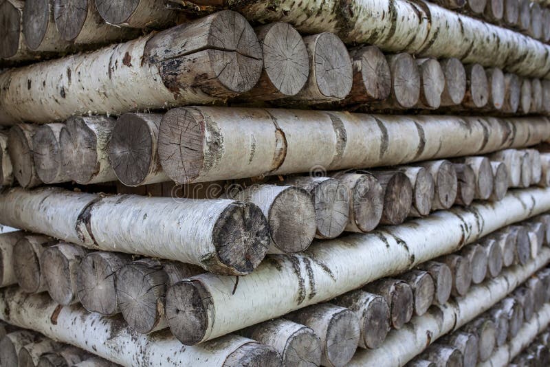 Birch logs stock image. Image of material, lumber, detail - 178239051