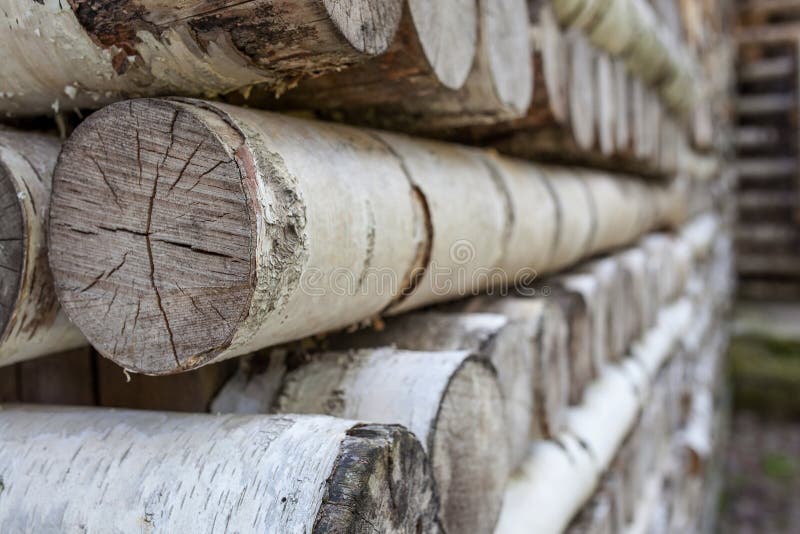 Birch logs stock image. Image of siberia, trunk, brown - 178239133