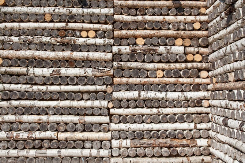 Birch logs stock image. Image of rough, design, lumber - 178239167