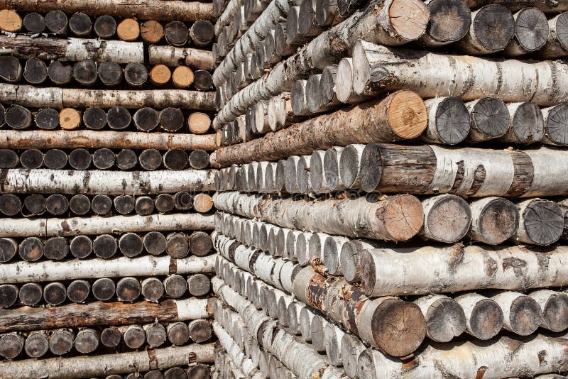 Birch logs stock image. Image of house, russia, rural - 178239175