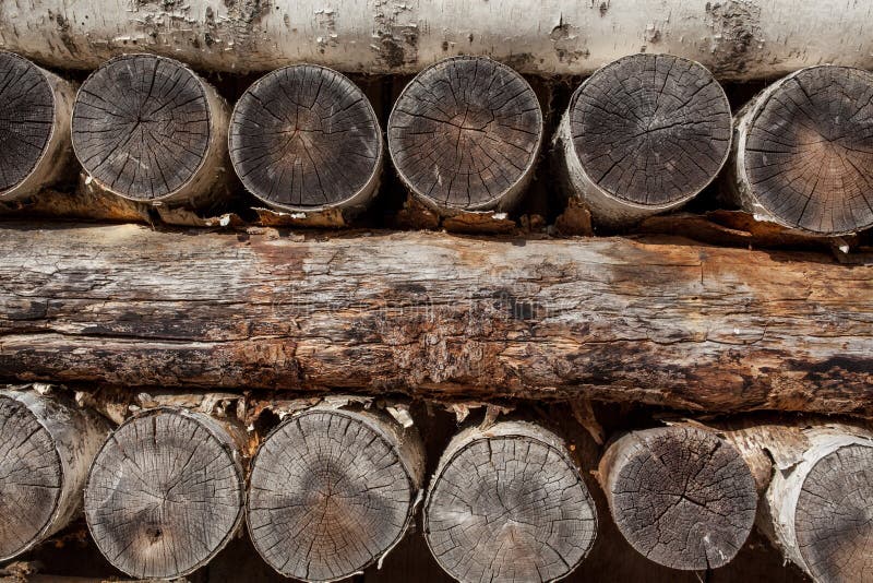Birch logs stock photo. Image of nature, lumber, trunk - 178239238