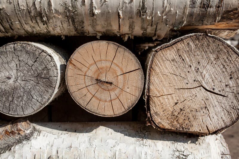 Birch logs stock photo. Image of rural, pattern, russia - 178239316