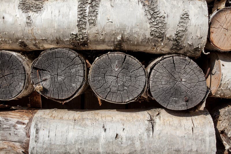 Birch logs stock image. Image of tree, rough, logs, design - 178239385