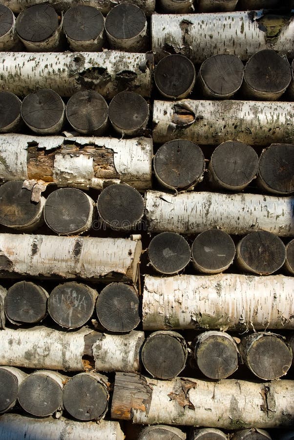 Birch logs stack stock image. Image of plant, abstract - 9925615