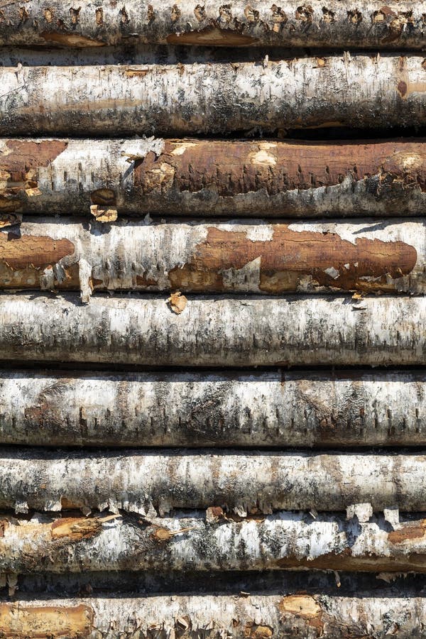 Logs Stack stock image. Image of forest, accurately, piece - 63246305
