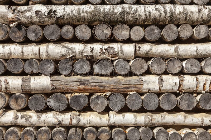 Birch Logs Stacked in Perpendicular Rows Stock Photo - Image of timber ...