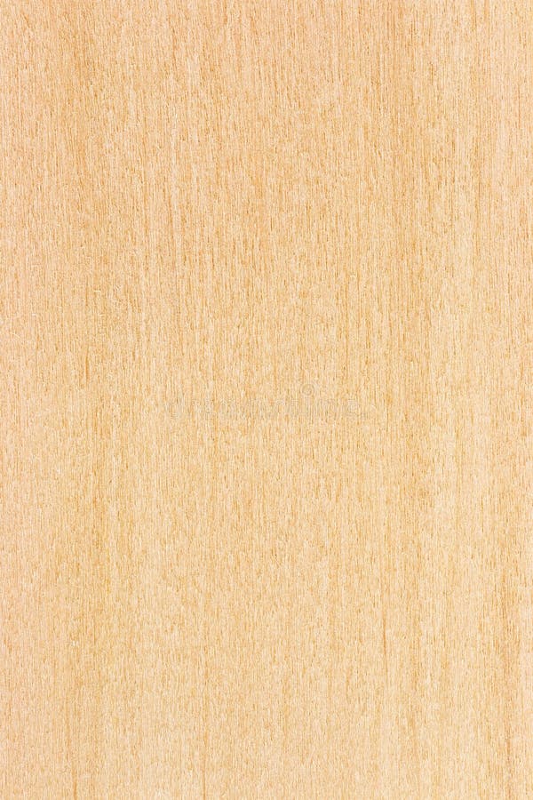Birch plywood stock image. Image of carpentry, floor - 34351167