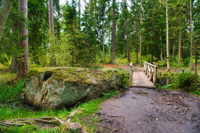 Birch Small Bridge in the Forest, Park Mon Repos, Vyborg, Russia Stock ...