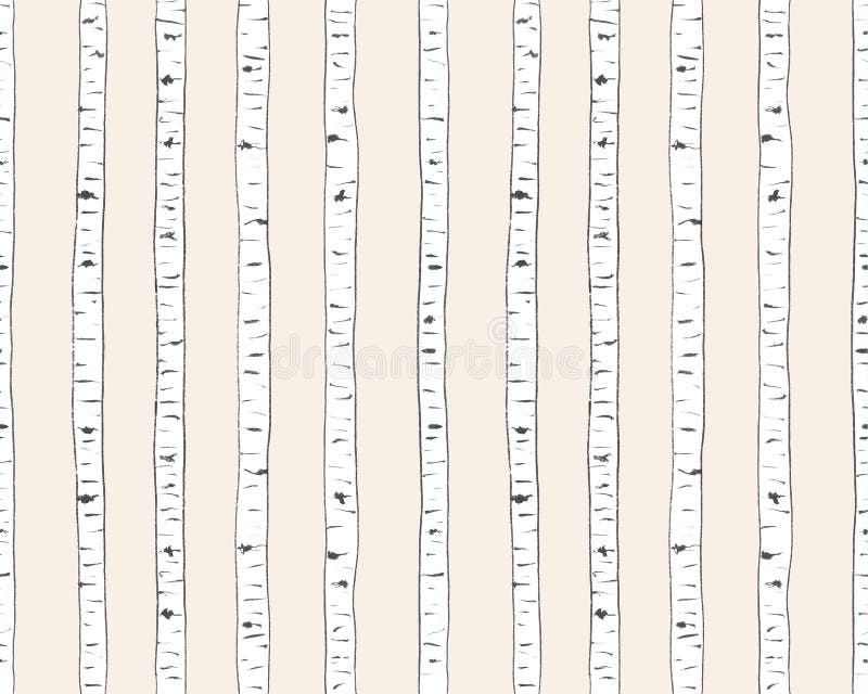 Birch texture on beige stock illustration. Illustration of forest ...