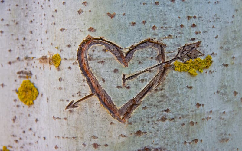 Love Tree Carving stock image. Image of affection, couple - 21733157