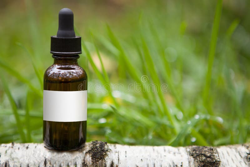 Birch Tree Extract - a Bottle with a Dropper Stock Photo - Image of ...