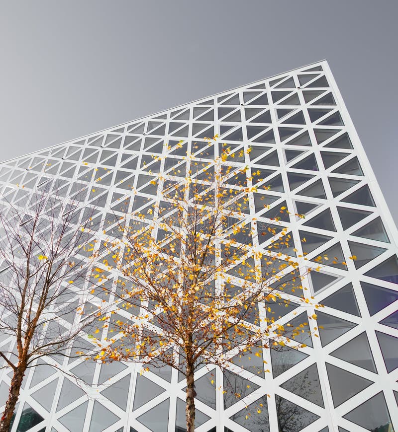 Birch tree stock photo. Image of scene, steel, architecture - 53232340