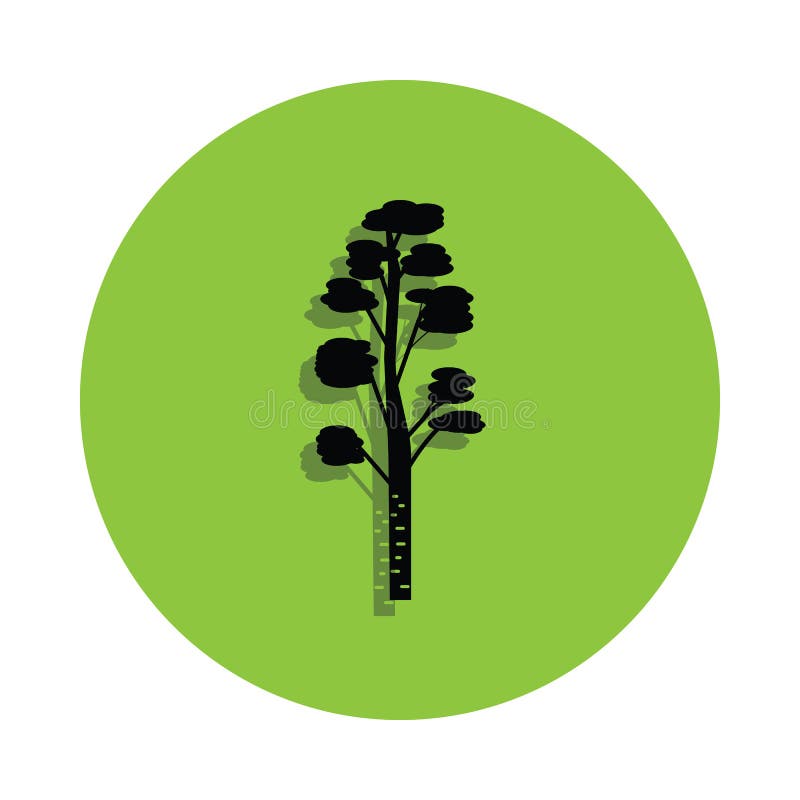 Birch Tree In Green Badge Icon Stock Illustration - Illustration of ...