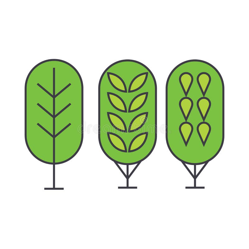 Birch Tree Line Icon Concept. Birch Tree Flat Vector Sign, Symbol ...