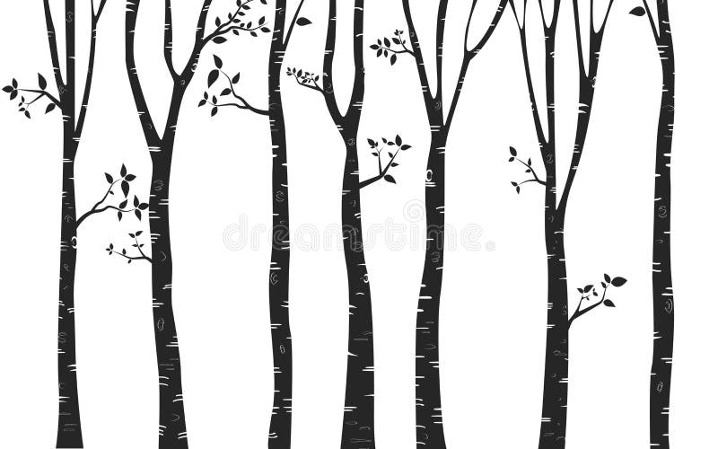 Birch Tree Silhouette Background Silhouette Stock Vector - Illustration ...