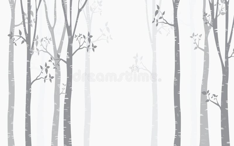 Birch Tree Silhouette Background Silhouette Stock Vector - Illustration ...