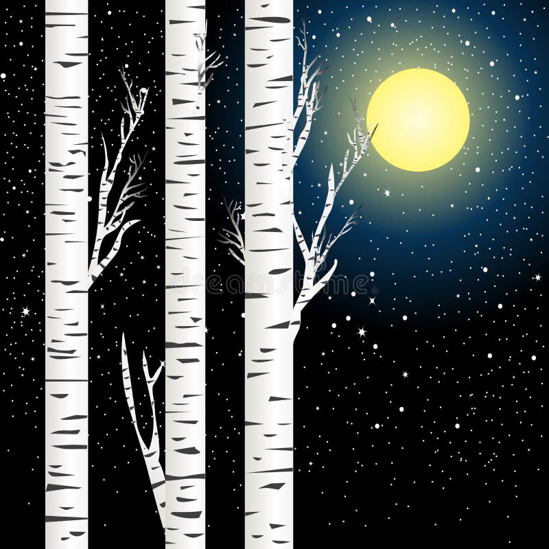 Birch Trees Against Night Sky with Full Moon and Stars Stock Vector ...